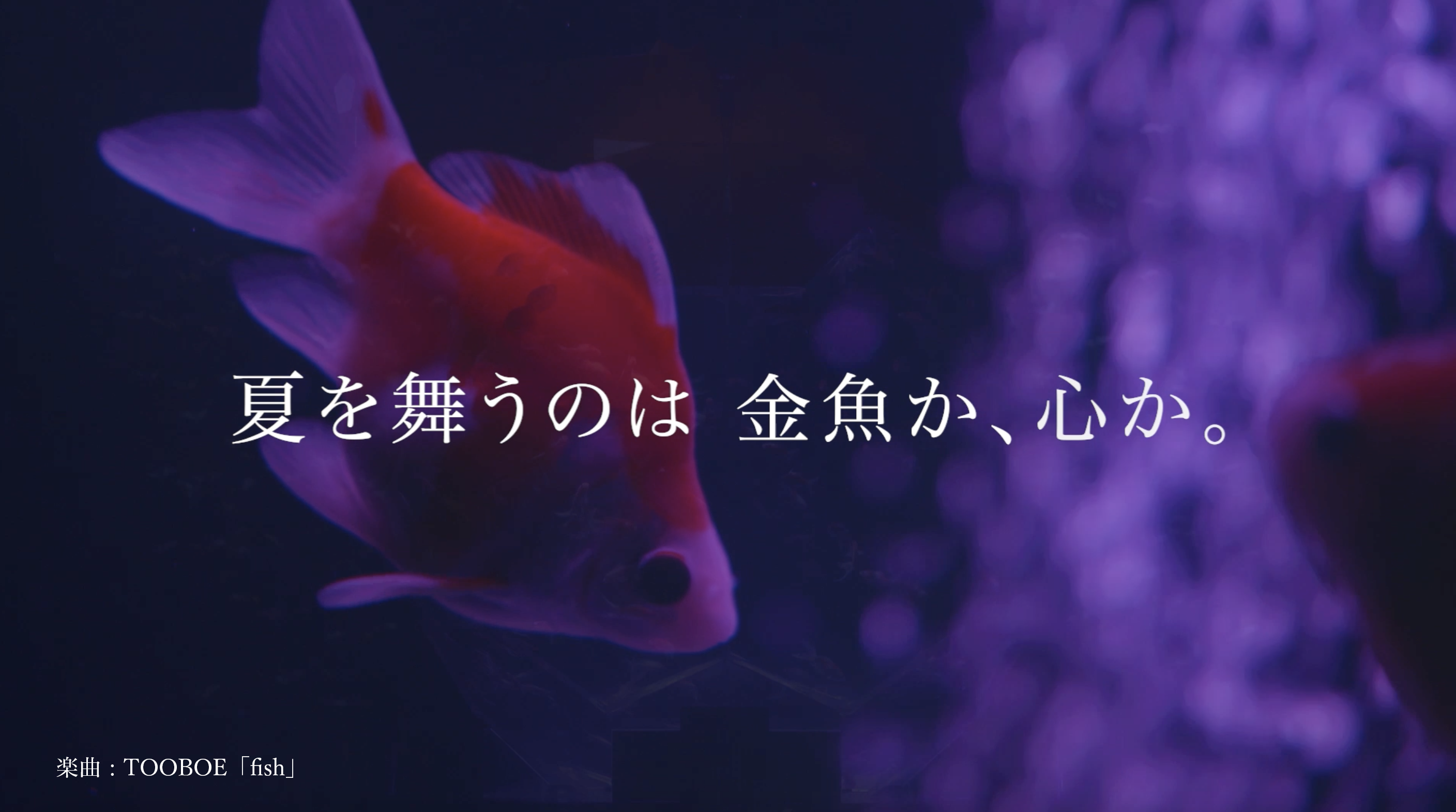 TOOBOE書き下ろしのちょっと切ない夏ソングでアートアクアリウム美術館 GINZAの新CM公開決定！夏のアートアクアリウム展2023～銀座の ...